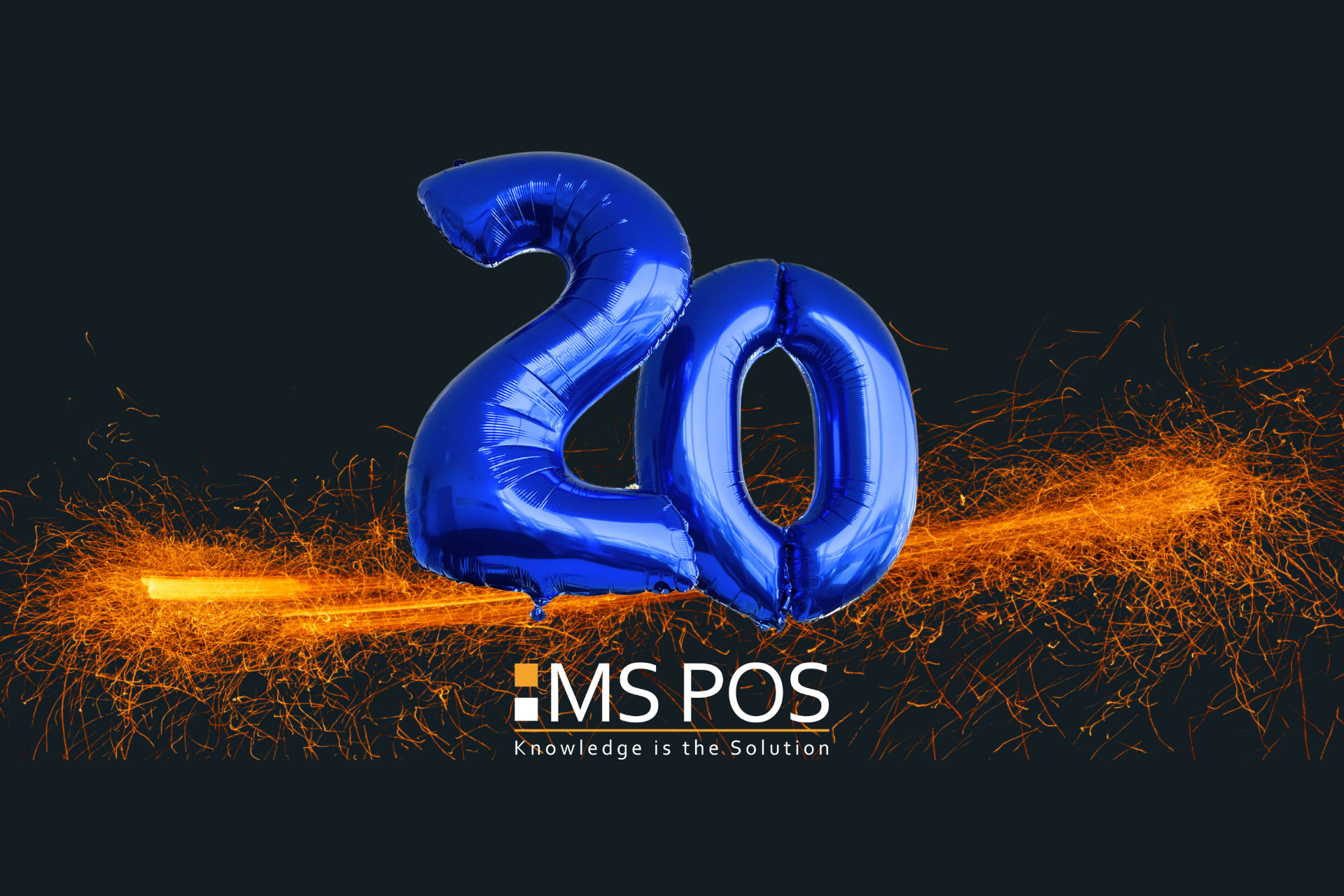20 Jahre MS POS – Unser Jubiläum | MS POS Blog